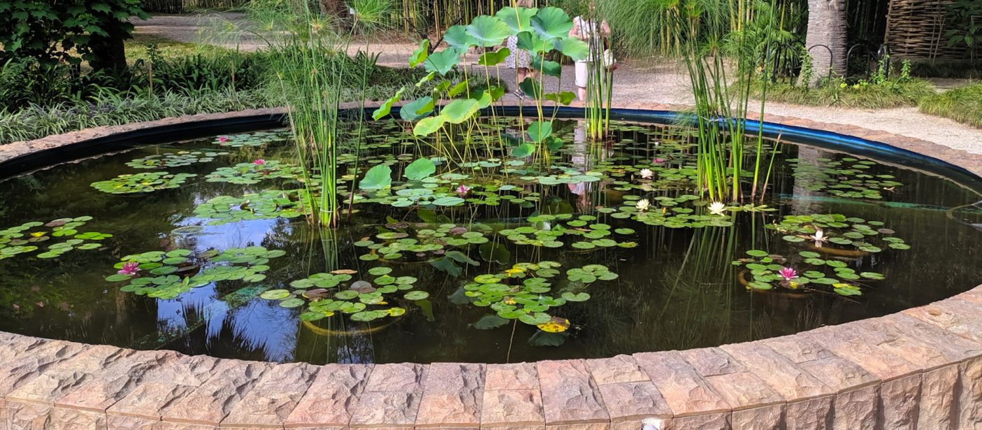 WATER & SOIL BIOREMEDIATION – Microlife | Bacterial purification ...